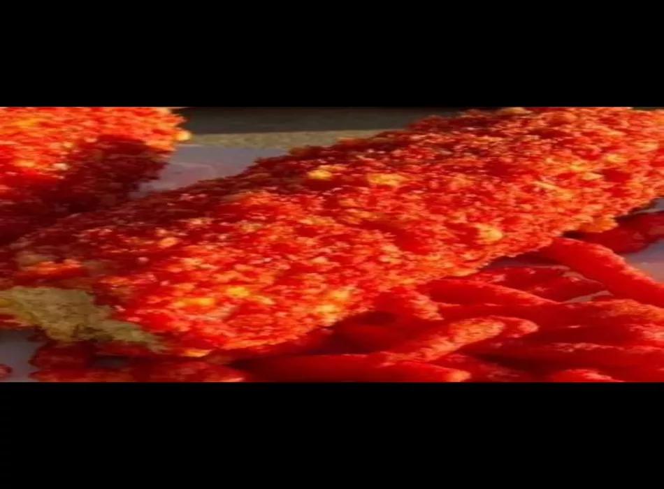Macs Screaming Corn & Tacos | Food Trucks In | Barrington RI